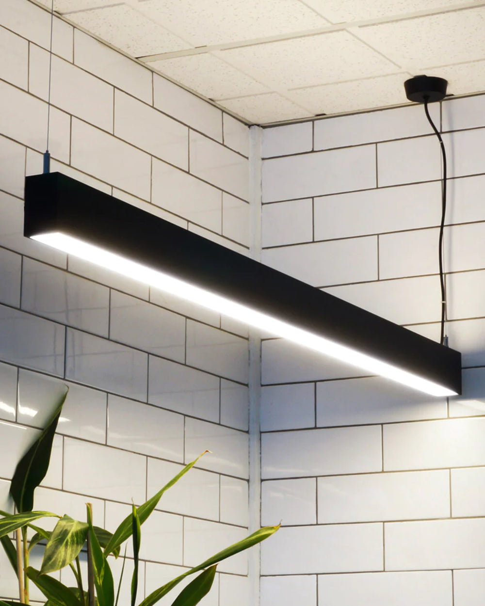 Slik Linear Pendant Light | Nook Collections