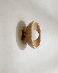 Selene Surface Wall Light | Nook Collections